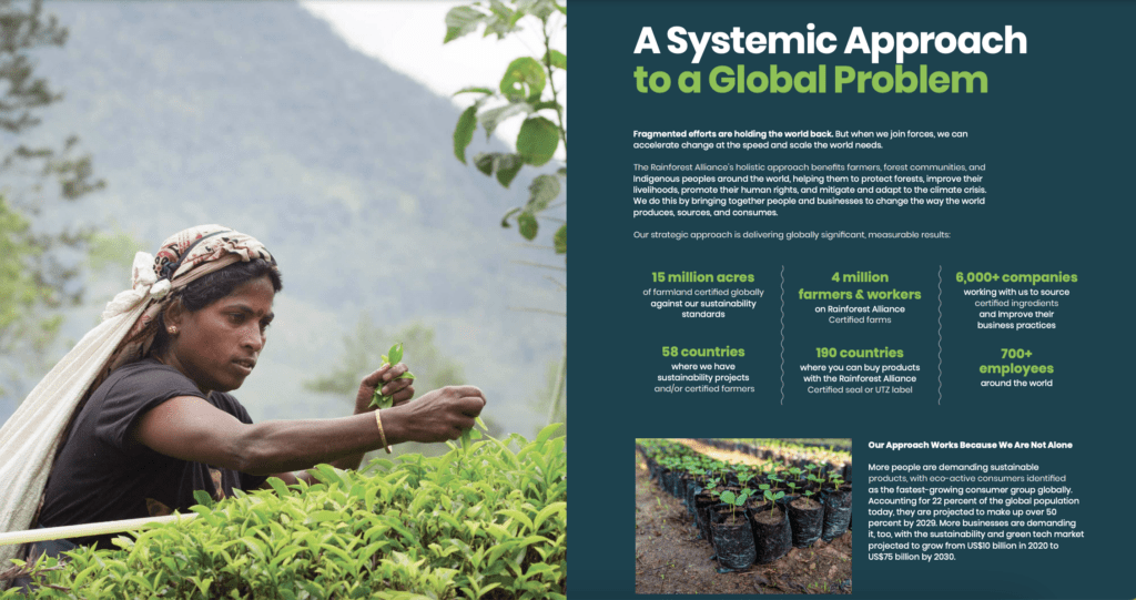 How to Create a Nonprofit Impact Report That Inspires (+3 Examples ...